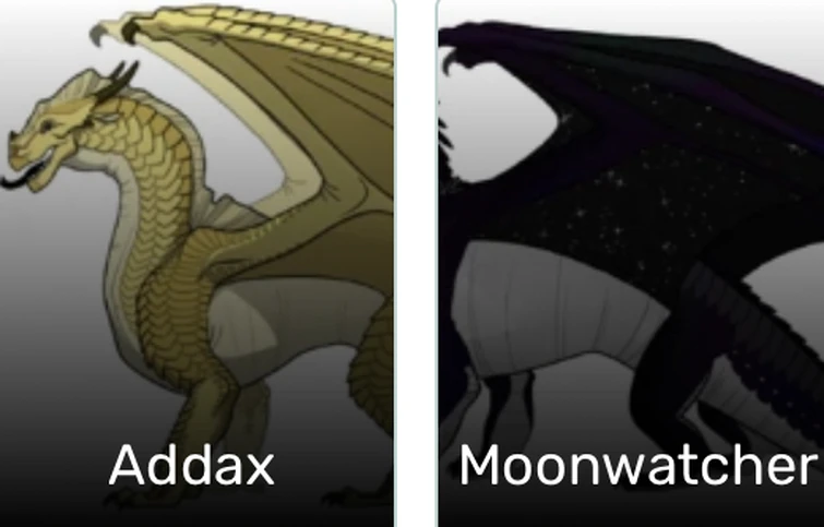 Discuss Everything About Wings of Fire Wiki | Fandom