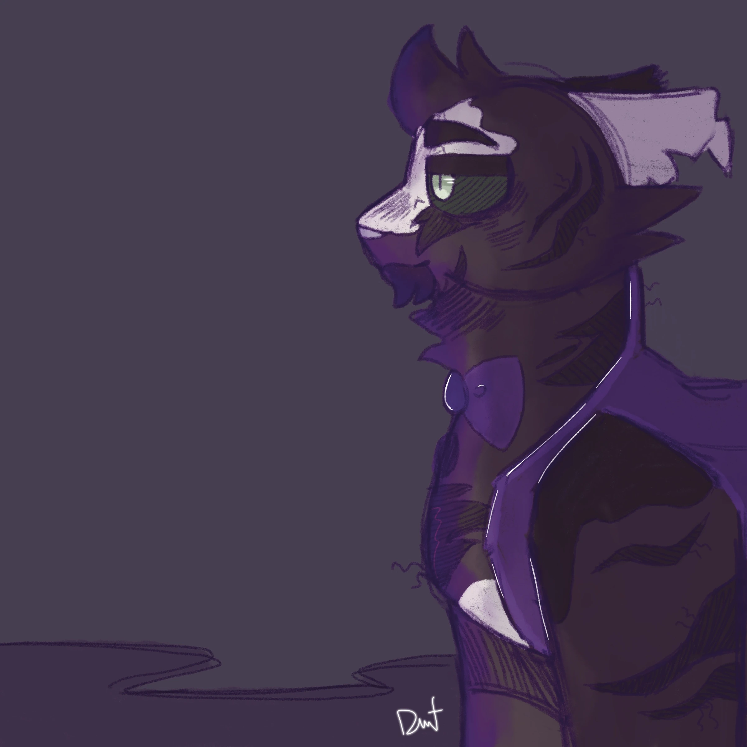 ok i'm back with another fnaf cat | Fandom