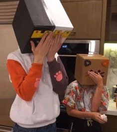 i love the dsmp community /s | Fandom