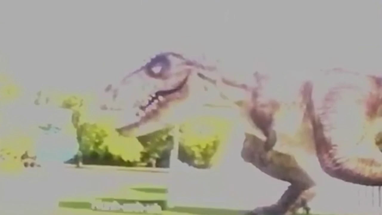 🐠 x 🐱 | Fandom