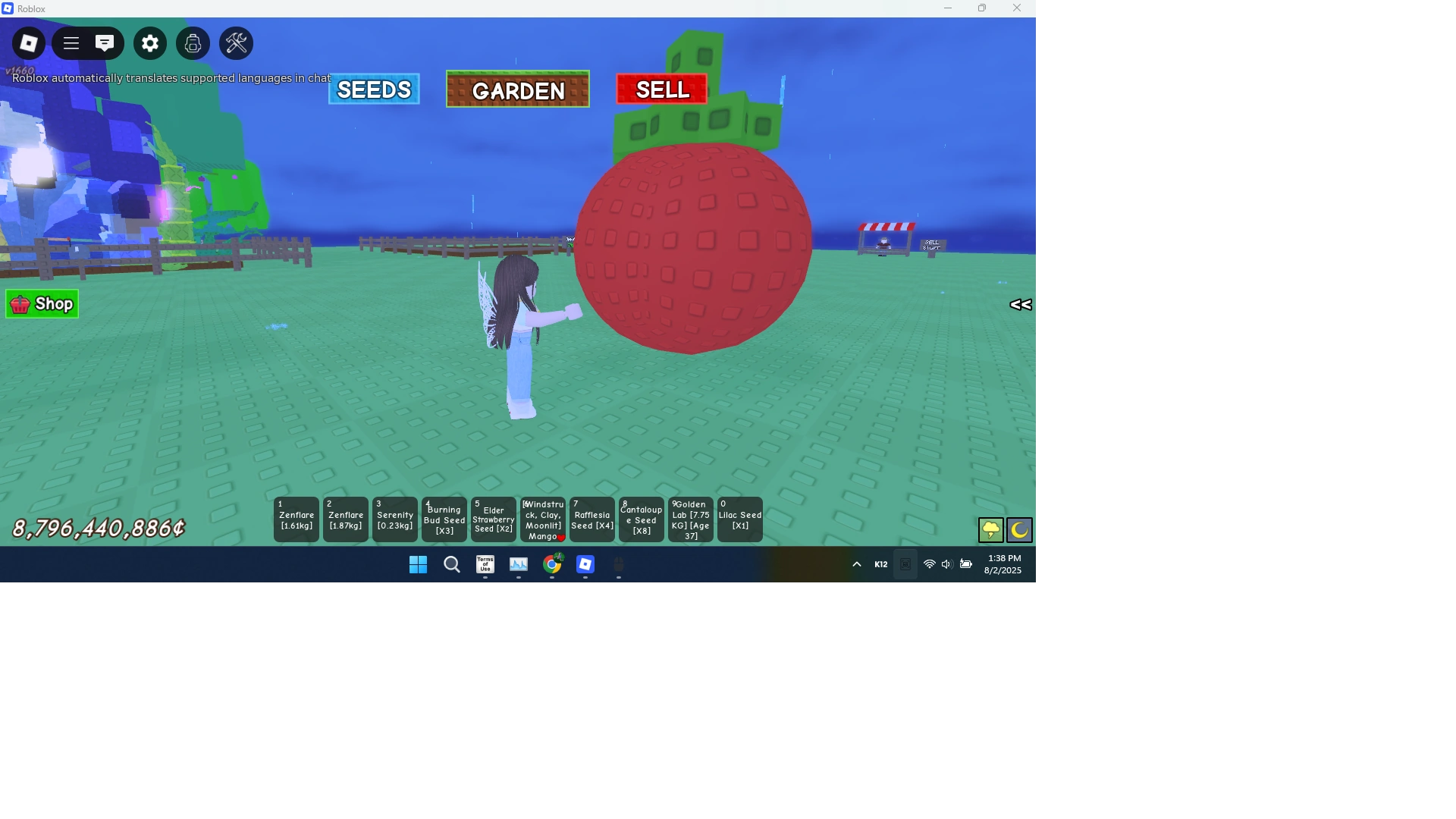 This is an ACTUAL grand tomato | Fandom