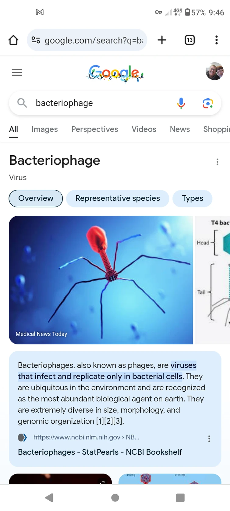 Discuss Everything About Xenopedia | Fandom