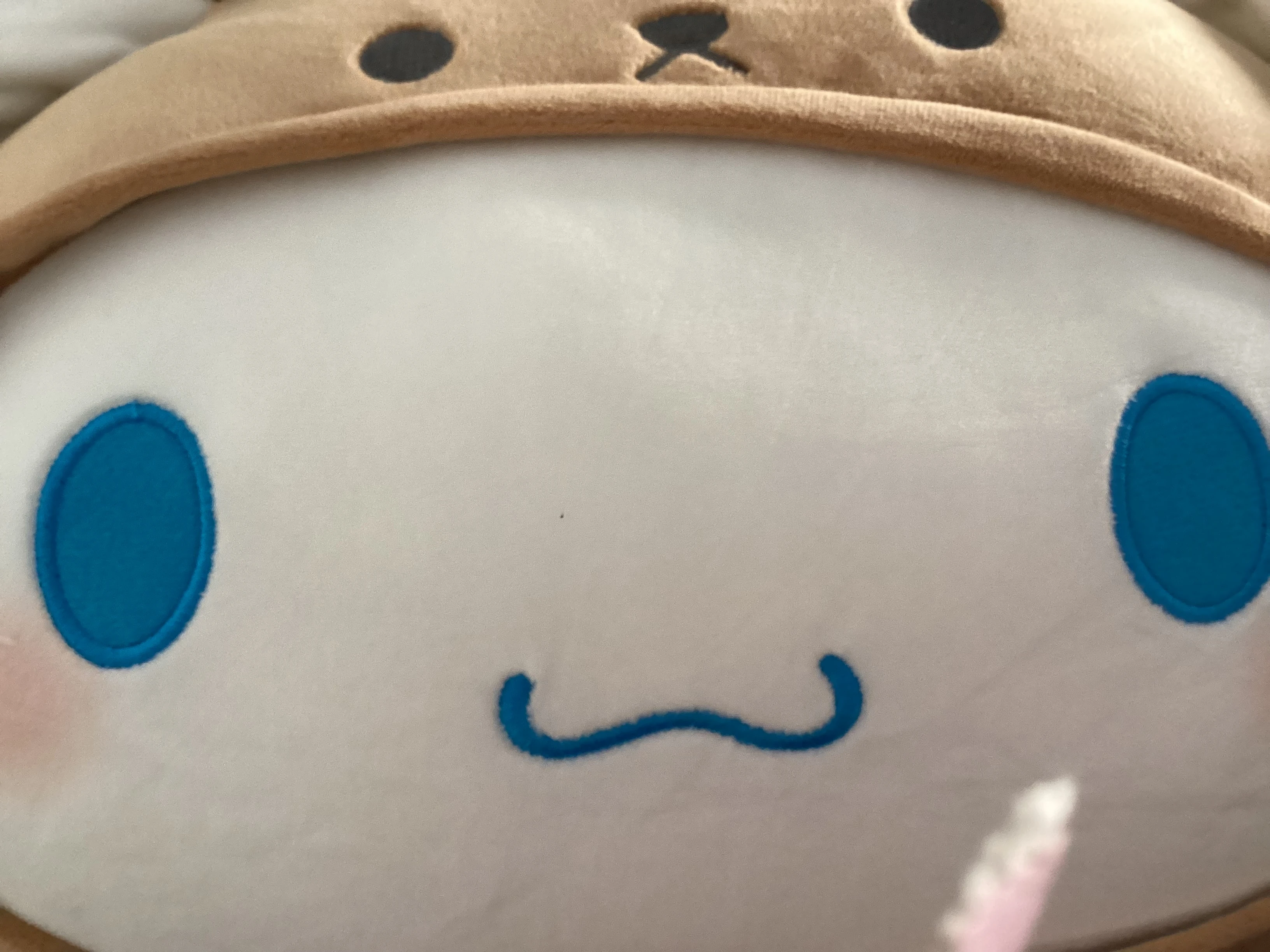 Cutie says hello! | Fandom