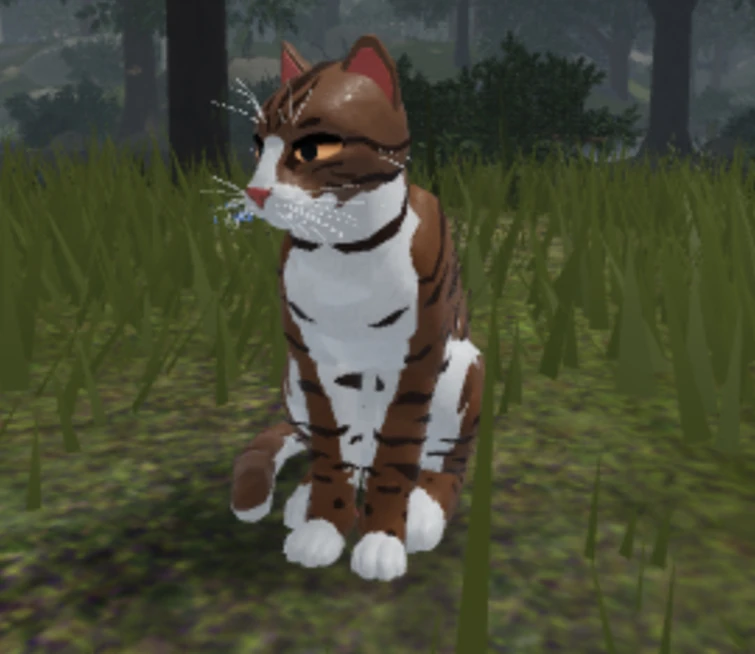 So I made my first hairless morph the other day | Fandom