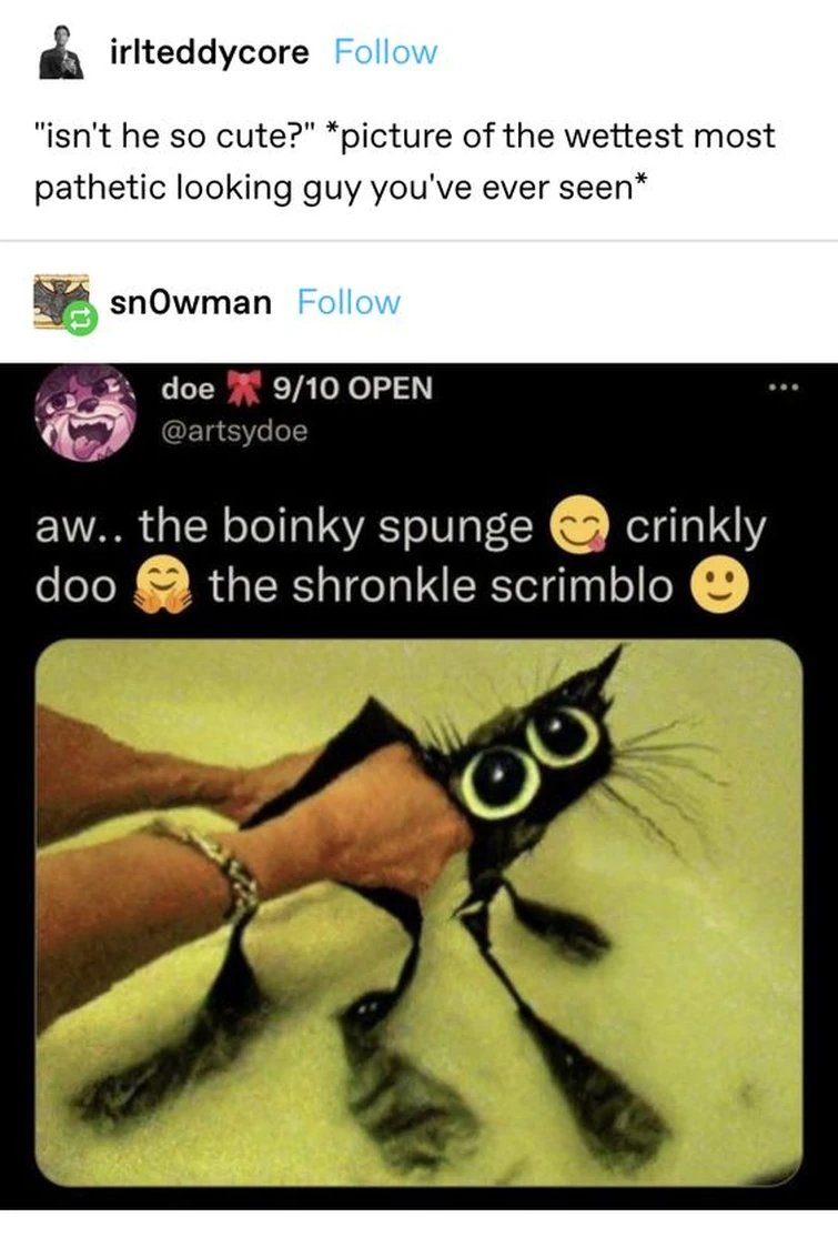 here's a pfp poll because its december | Fandom