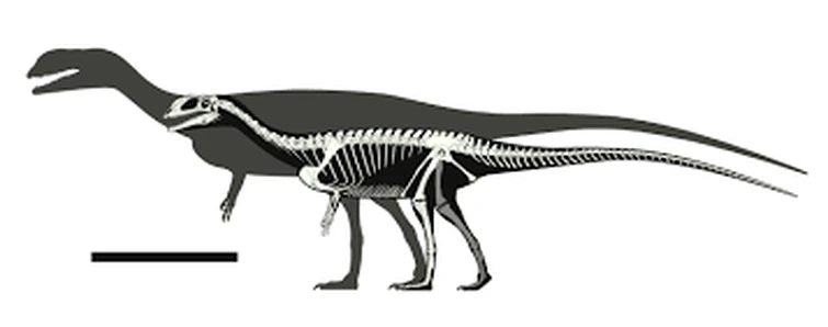 Meet Sarcosaurus, the British ancestor of Ceratosaurus? | Fandom