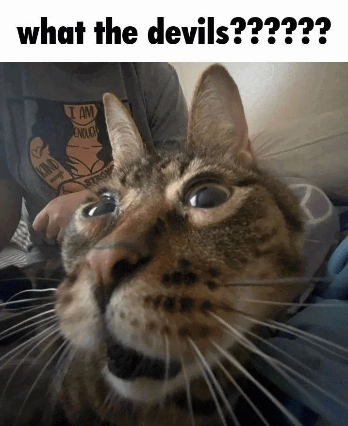 mood check!! | Fandom