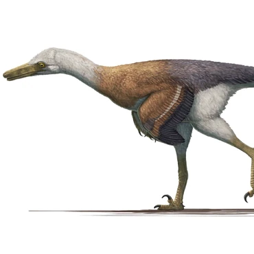 Discuss Everything About Dinopedia | Fandom