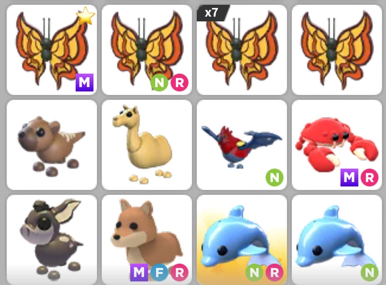 Discuss Everything About Adopt Me! Wiki | Fandom