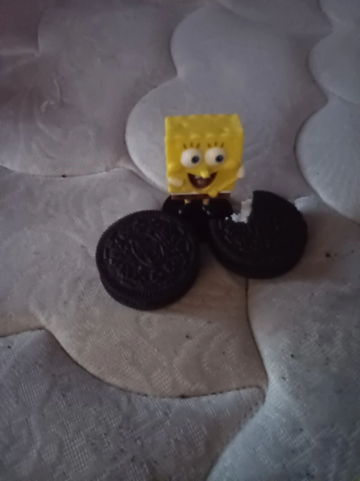 Hell nah spongebob stole miss circle's oreos | Fandom