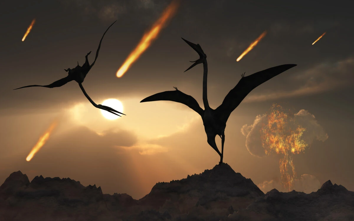 Caption this (Quetz version) | Fandom