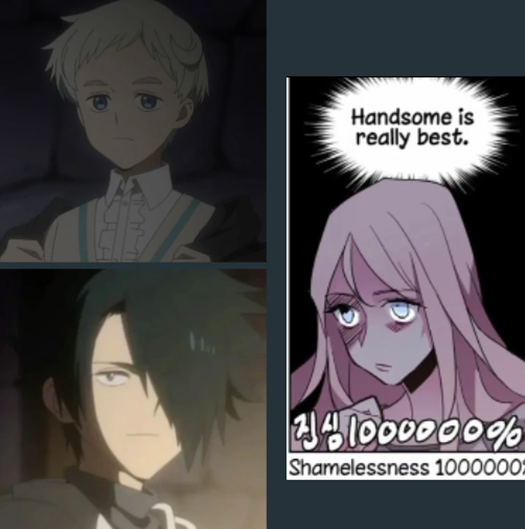 TPN Memes | Fandom