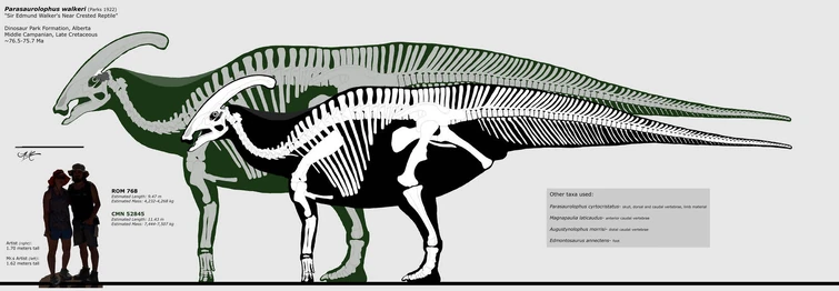 true or false parasaurolophus got an upsize | Fandom