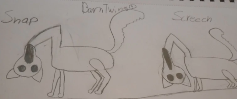 Discuss Everything About Npc Wcue Wiki | Fandom