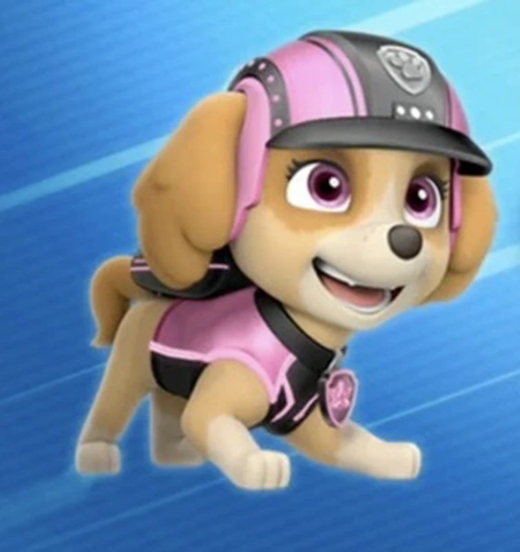 Discuss Everything About PAW Patrol Wiki | Fandom