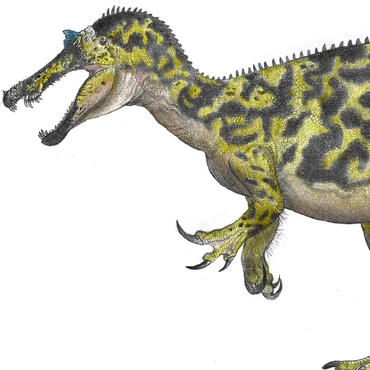 Discuss Everything About Dinopedia | Fandom