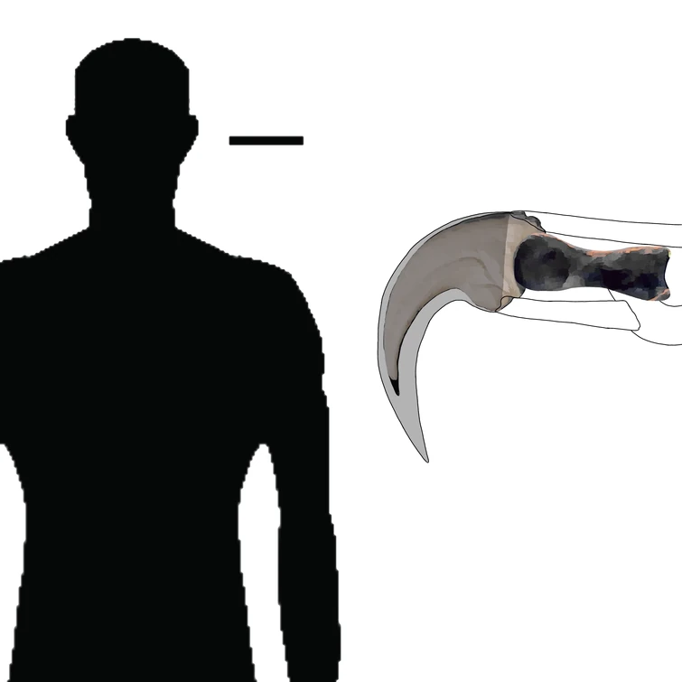 Saurophaganax Has some Large claws | Fandom