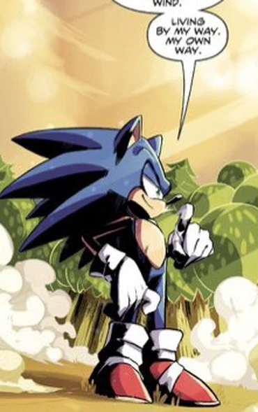 Who do you think is best fit for being Sonics love interest in the ...