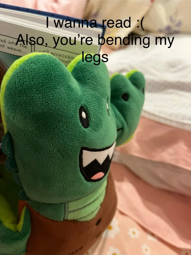 Discuss Everything About InvestiGators Wiki | Fandom