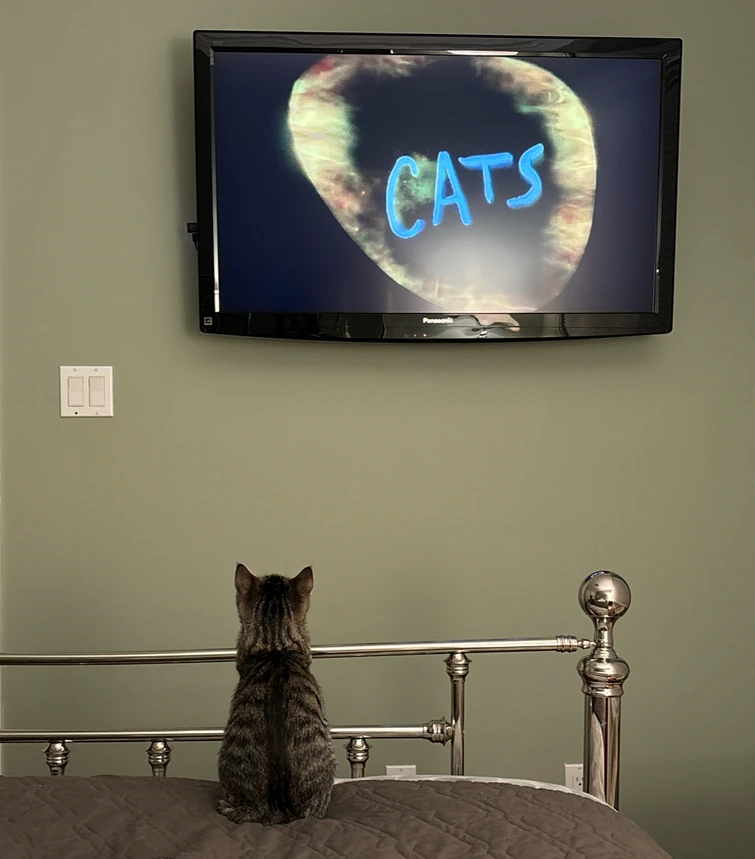 Off-topic Post | Fandom