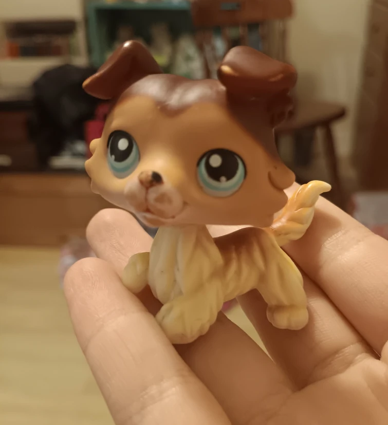 Is there any like.. Lps expert on here? | Fandom