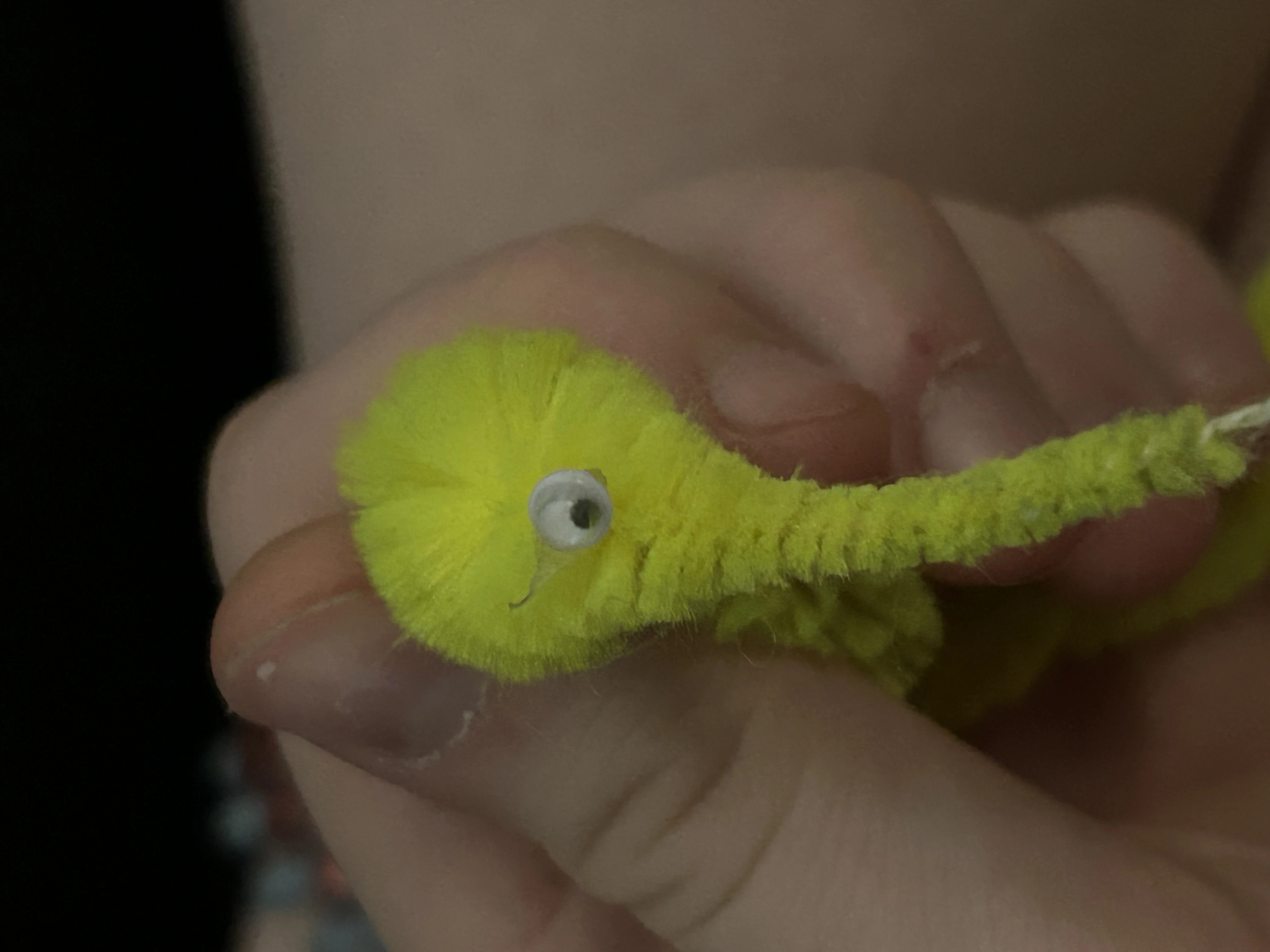 Billiam cipher is a worm | Fandom