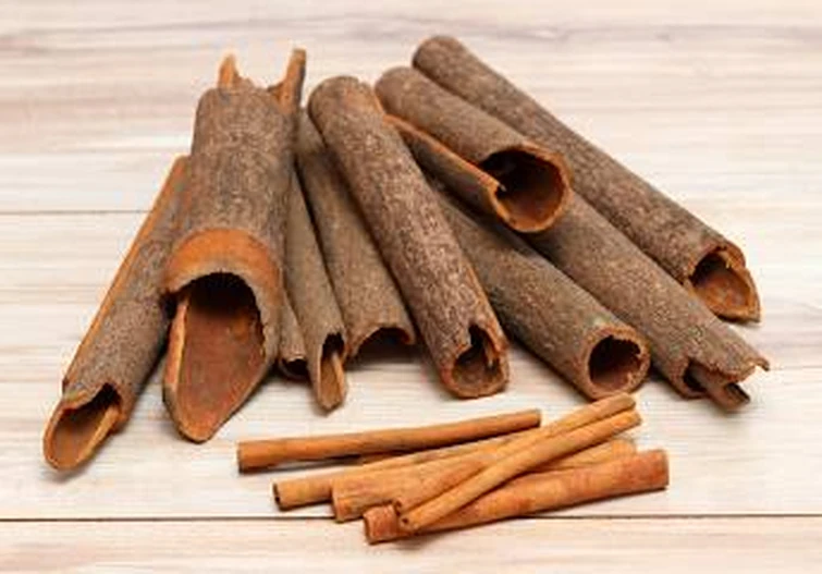 i got cinnamonman in a fanmade toilet tower defense lol | Fandom