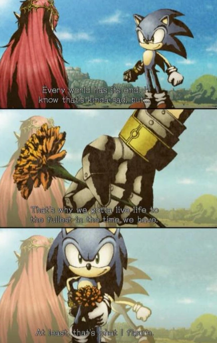 nice sonic the hedgehog quote | Fandom