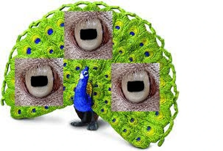 realistic epic gobbelygourd | Fandom