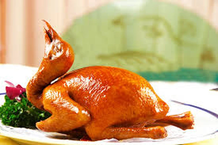 Choose a DW monster if it can be your pet irl!! | Fandom