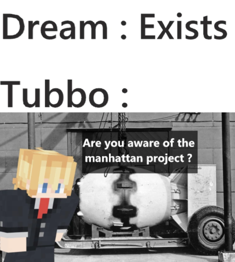 Random DSMP pictures on my phone | Fandom