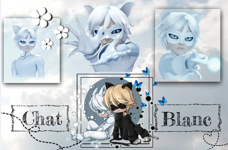 Chat Blanc Edit! | Fandom