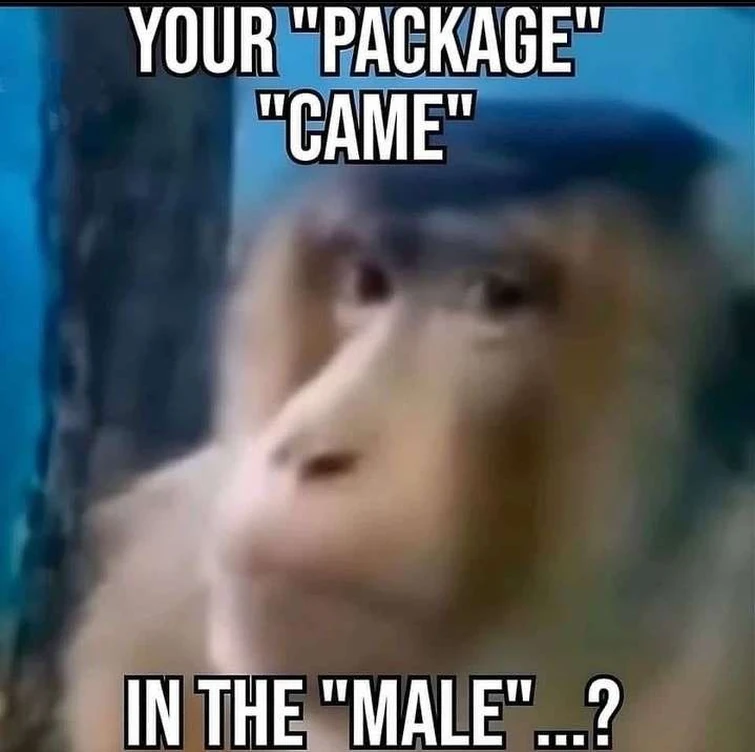 Daily Dose Of Random Shit Post #90 | Fandom