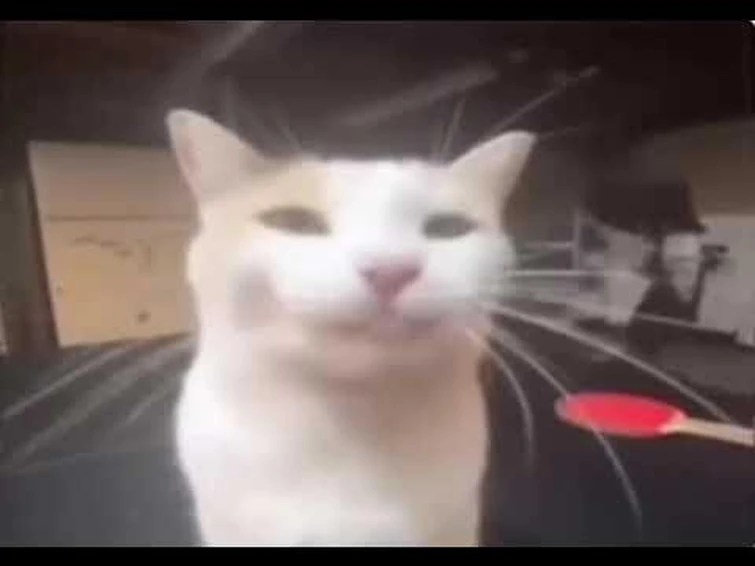 real viseo of me | Fandom