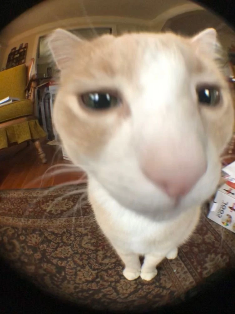 90% chance i'm quitting | Fandom