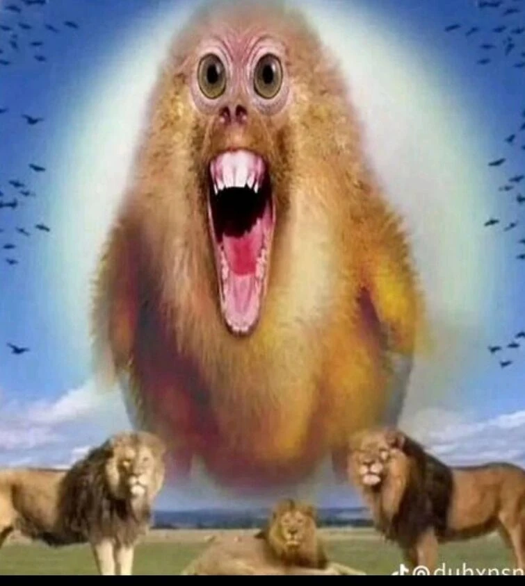 How it feels to use ante up and remove training wheels when u used to ...