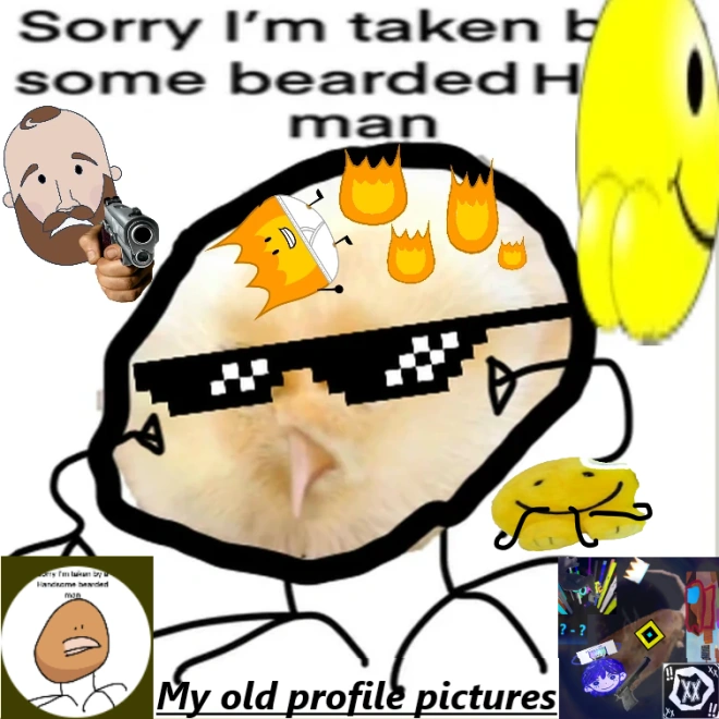 what do you want me to add to my pfp | Fandom