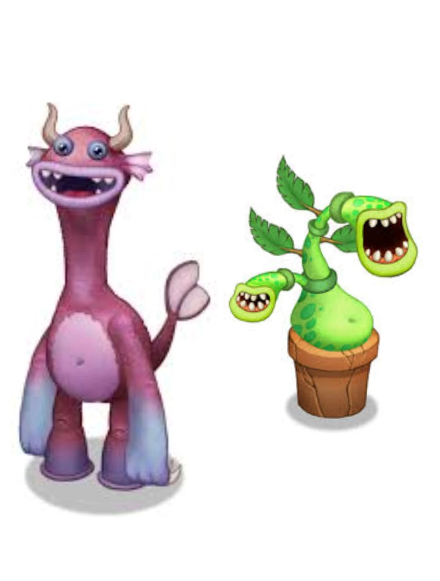 MSM fun fact | Fandom