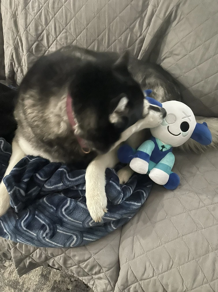 Discuss Everything About PHIGHTING! Wiki | Fandom