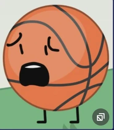 Which Basketball is better? | Fandom