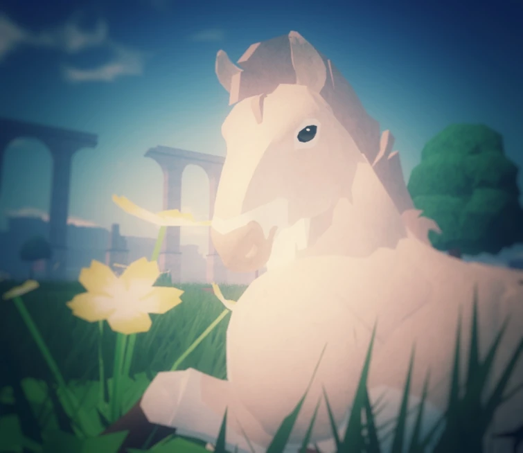 greetings horse lifers (my intro sorta post) | Fandom