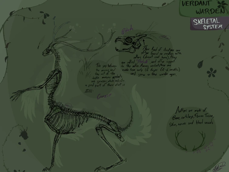 Anatomy study pt 7 - Verdant Warden | Fandom