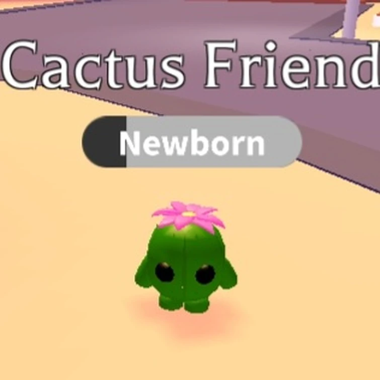 cactus friend is too small | Fandom
