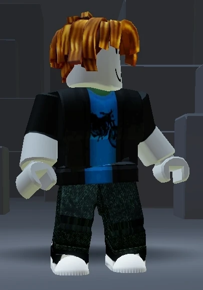 My roblox avatar evolution (2017-2030) | Fandom