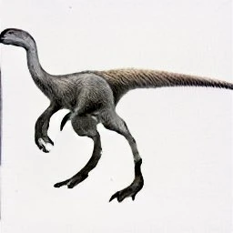 Terrifying Dinosaurs #37: Conchoraptor | Fandom