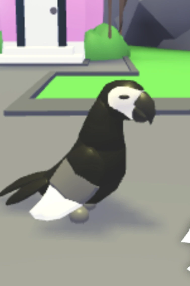 I will draw ur adopt me pets | Fandom