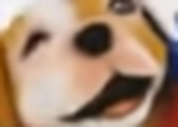 Posibles capturas que vienen de un video perdido del perro chacarron ...