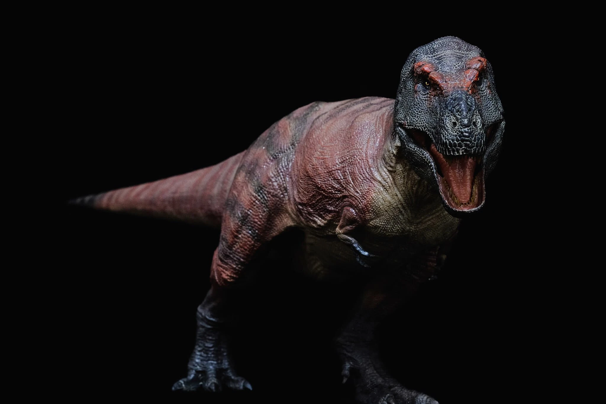 More Dinosaur toy stuff | Fandom