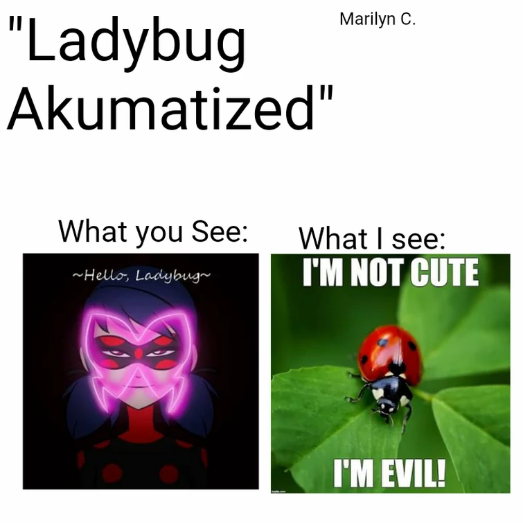 Akumatized Heroes #2 | Fandom