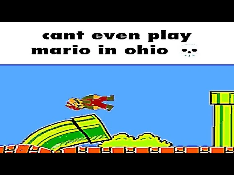 Why Does This Exist? | Fandom